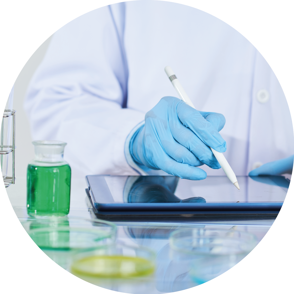 Prokol Customs - Prokol Protective Coatings