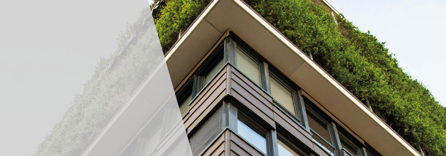 Roofing trends | Prokol Protective Coatings