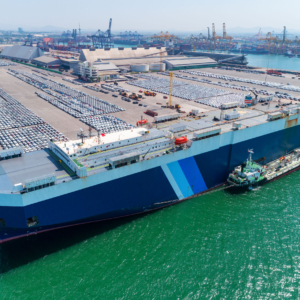 Roro-decks - Prokol Protective Coatings